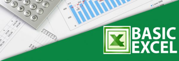 Basic excel Banner Excel Training Singapore