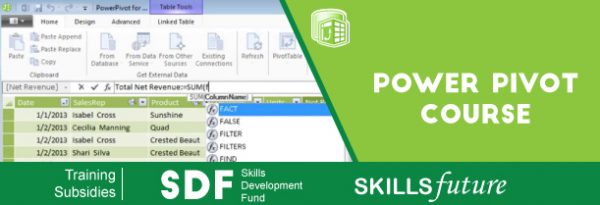 power-pivot - Excel Training Singapore